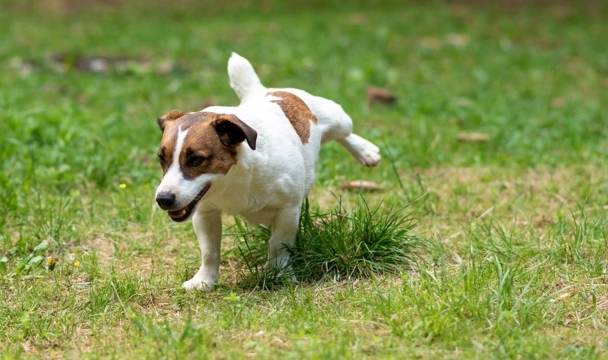 Este es mi lugar - Digital506