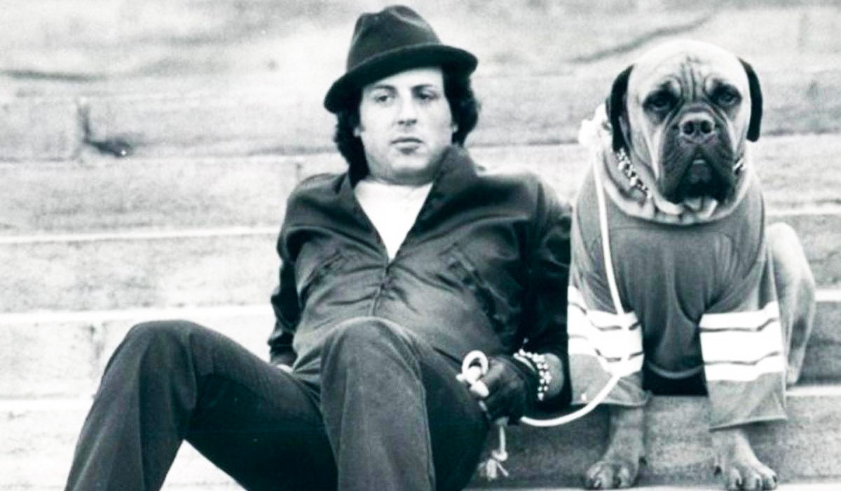 Al rescate de Butkus - Digital506