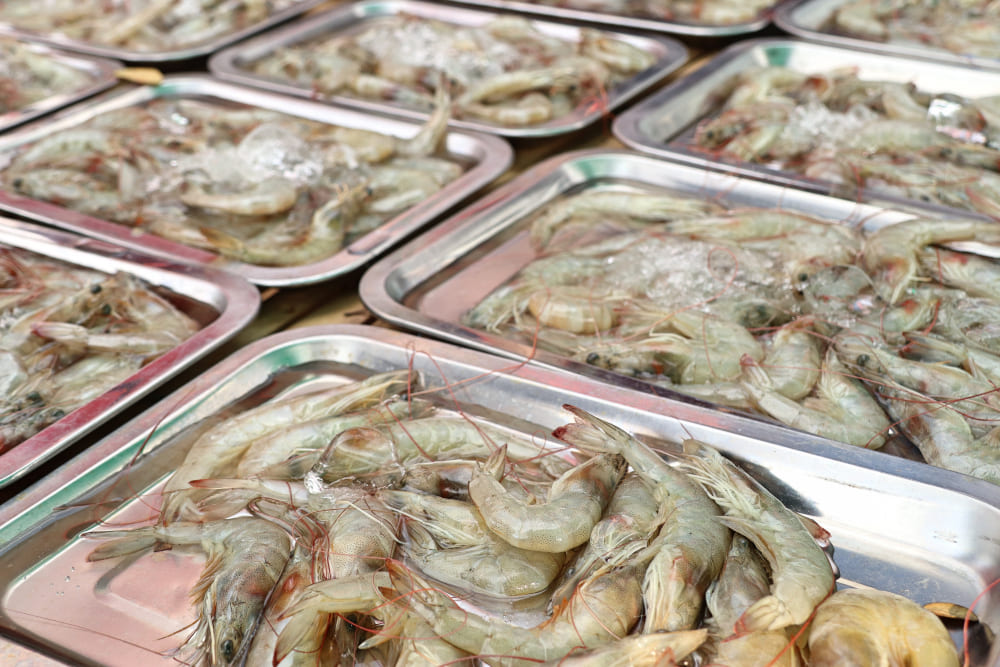 ¿Le gustan los mariscos? Conozca estas ferias y apoye al sector ...