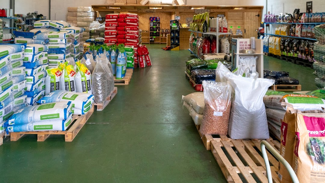 Estudio del MAG revela que 45 agroservicios bajaron de precio - Digital506