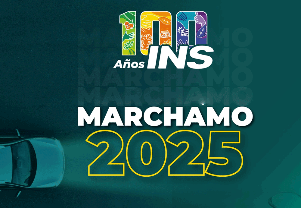Marchamo 2025 podrá colocarse en el parabrisas sin riesgo de multa ...