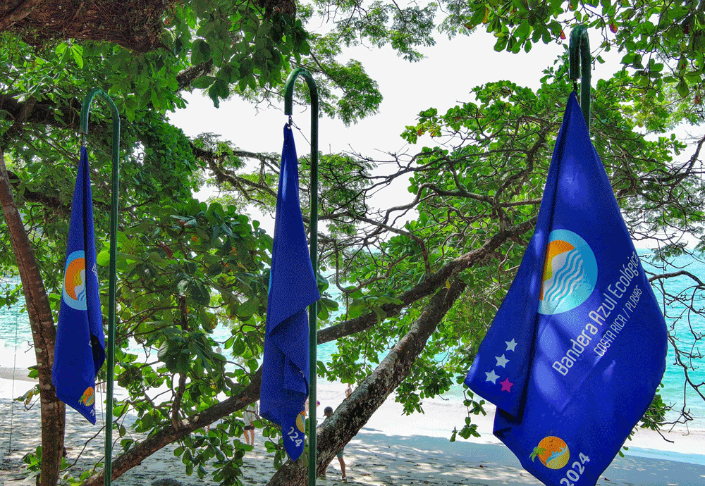 140 playas reciben Bandera Azul Ecológica por su gestión ambiental ...
