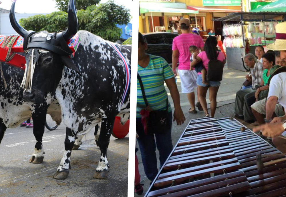 Celebración nacional honra marimba y boyeo en Costa Rica - Digital506